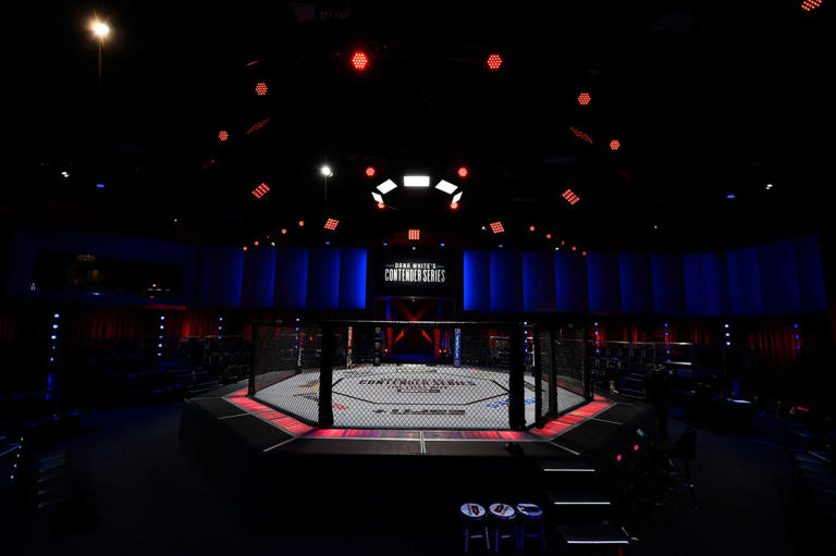 UFC 107 Vegas Results and Highlights