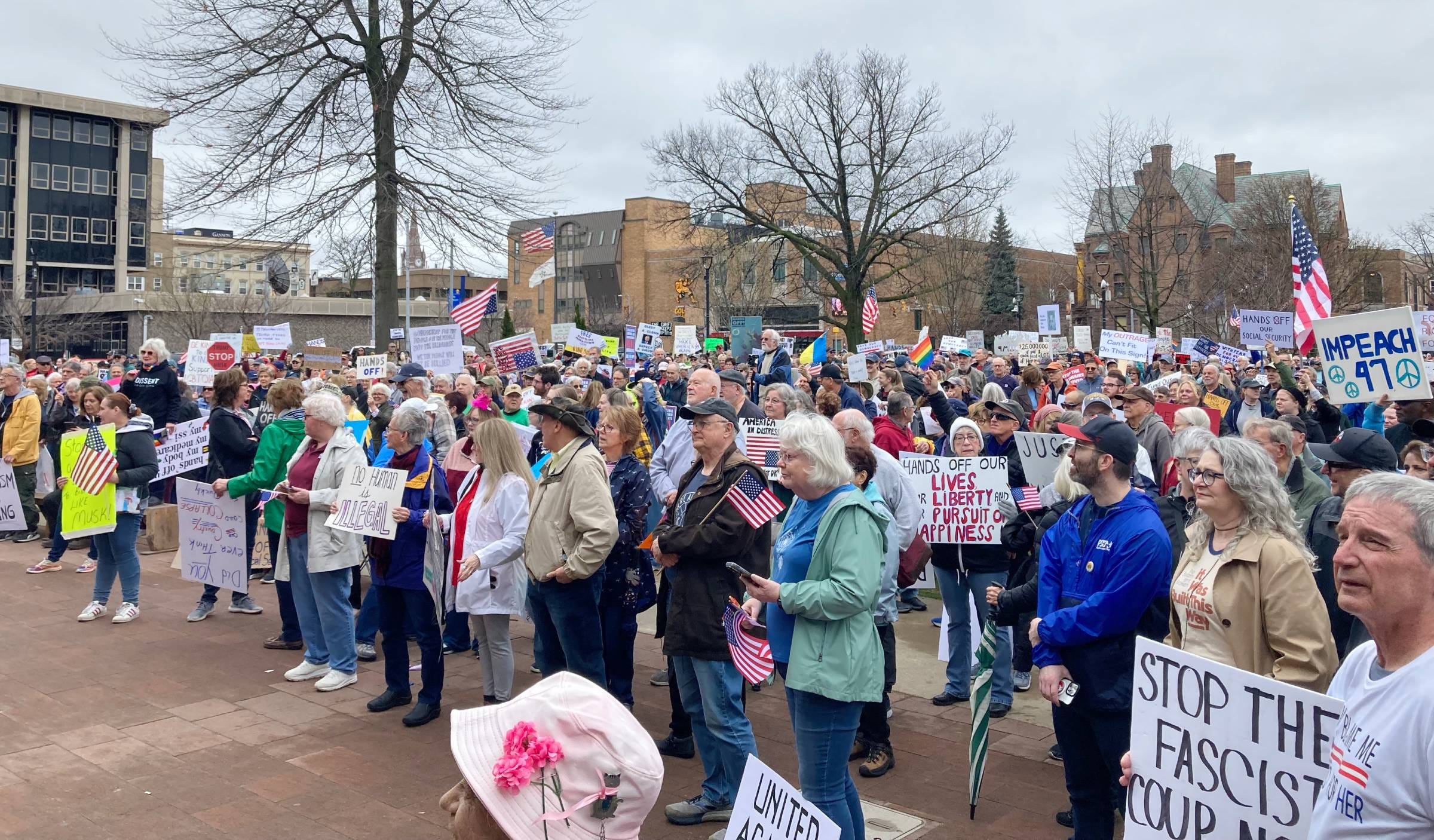 Protesters rally against Trump, Musk in Hands Off! rally in Erie