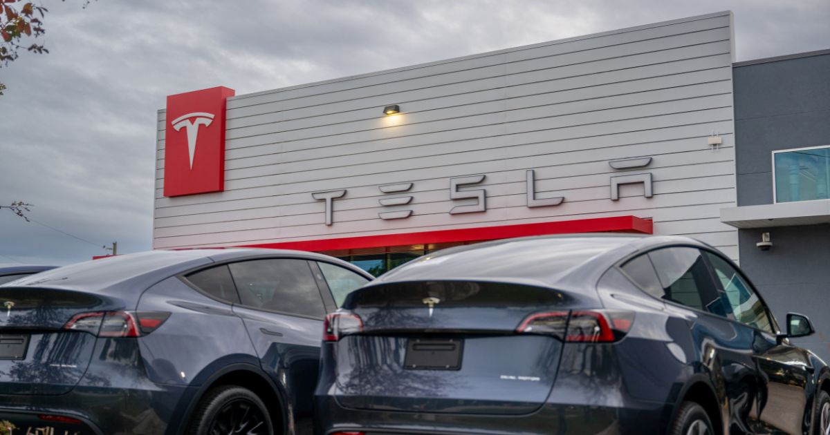 Tesla Owner Takes Punishment of Vandal Into His Own Hands and It Might ...