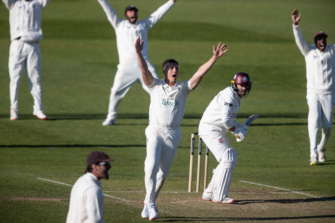 Joe Root's recommendation leaves Northamptonshire in High Dudgeon