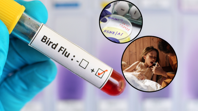 3-Year-Old Tests Positive For Bird Flu In Mexico- Experts Warn Of ...