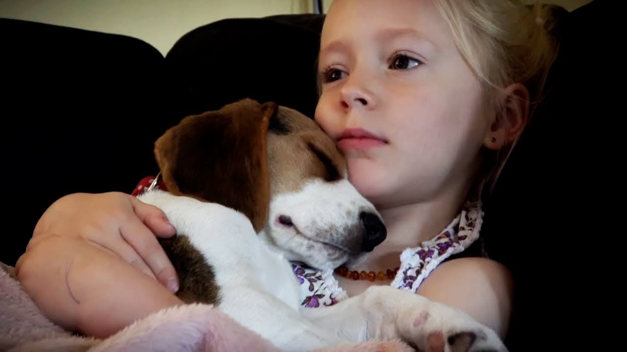 Cute puppy falls asleep on her best friend