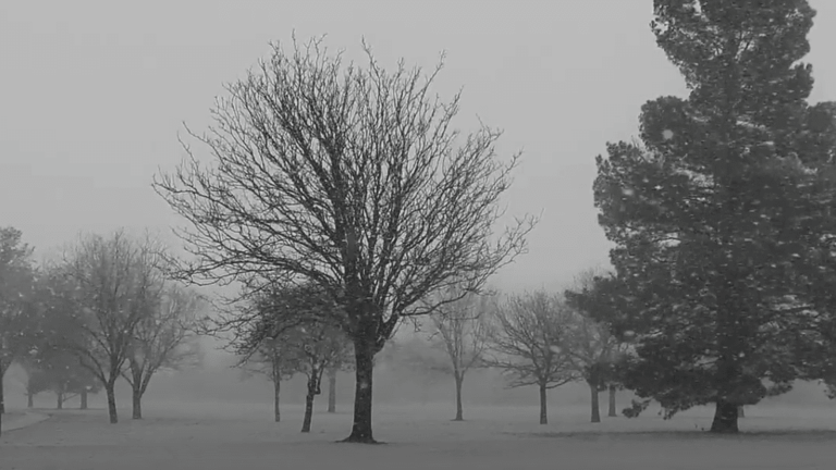 Spring snowstorm in April breaks 130-year record in Amarillo