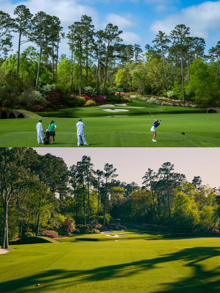 Before and after photos of Augusta National show how many trees were ...