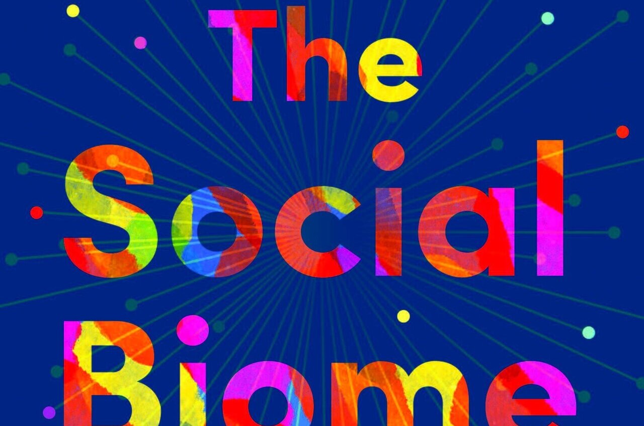 Improve your life by embracing everyday, even mundane, conversations ...
