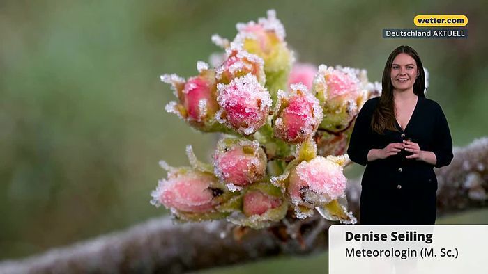 3-Tage-Wetter: Nachtfrost wird zum Knospen-Schreck