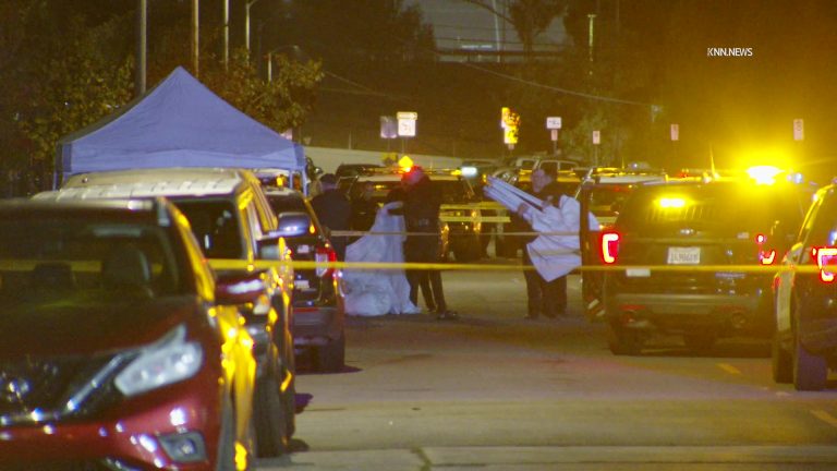 Man fatally shot in possible gang-related shooting in South LA, police say