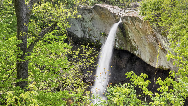 Indiana's Tallest Free-Falling Waterfall Hides In Plain Sight In This ...