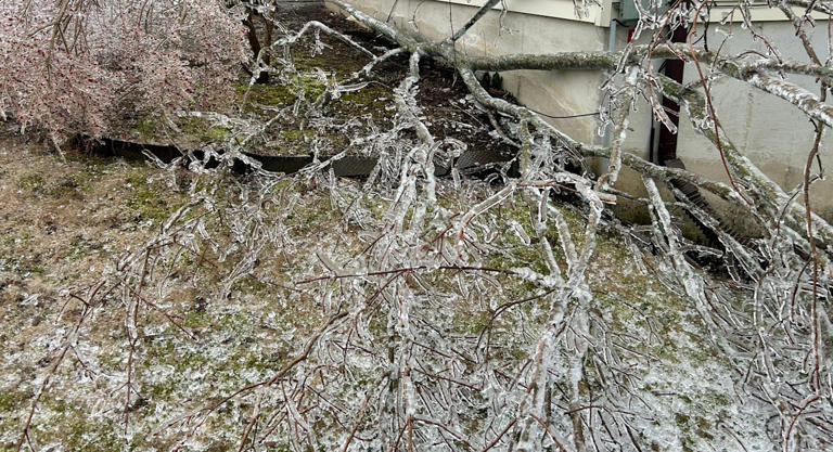 1 million customers hit hard. Ontario's historic ice storm by the numbers