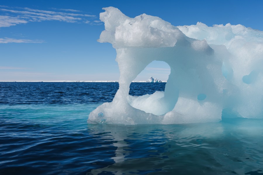 New ecosystem found after Chicago-sized chunk of Antarctica breaks off