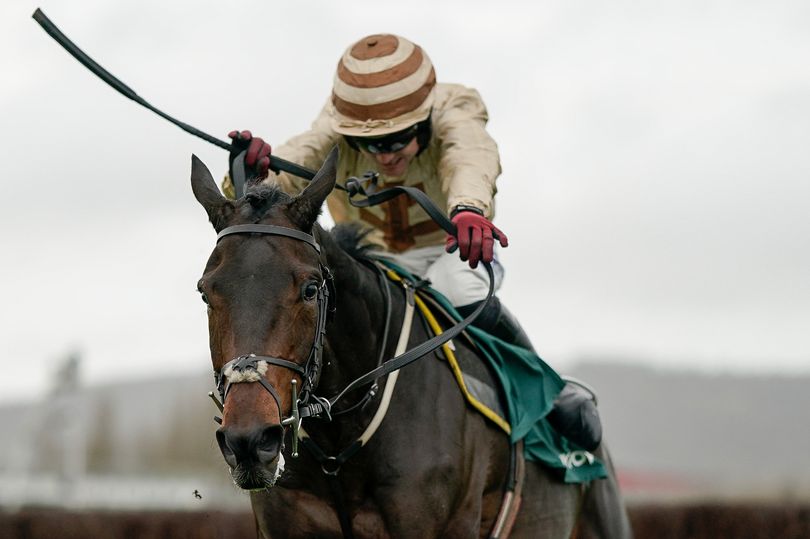 Broadway Boy and Celebre D'Allen statement update after brutal Grand ...