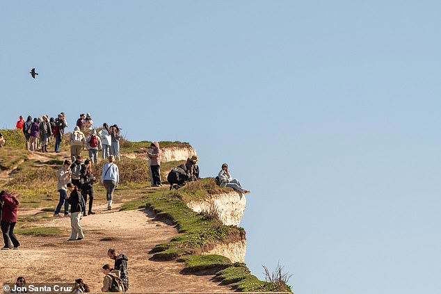 Sunworshippers risk their lives on the crumbling cliffs at Beachy Head