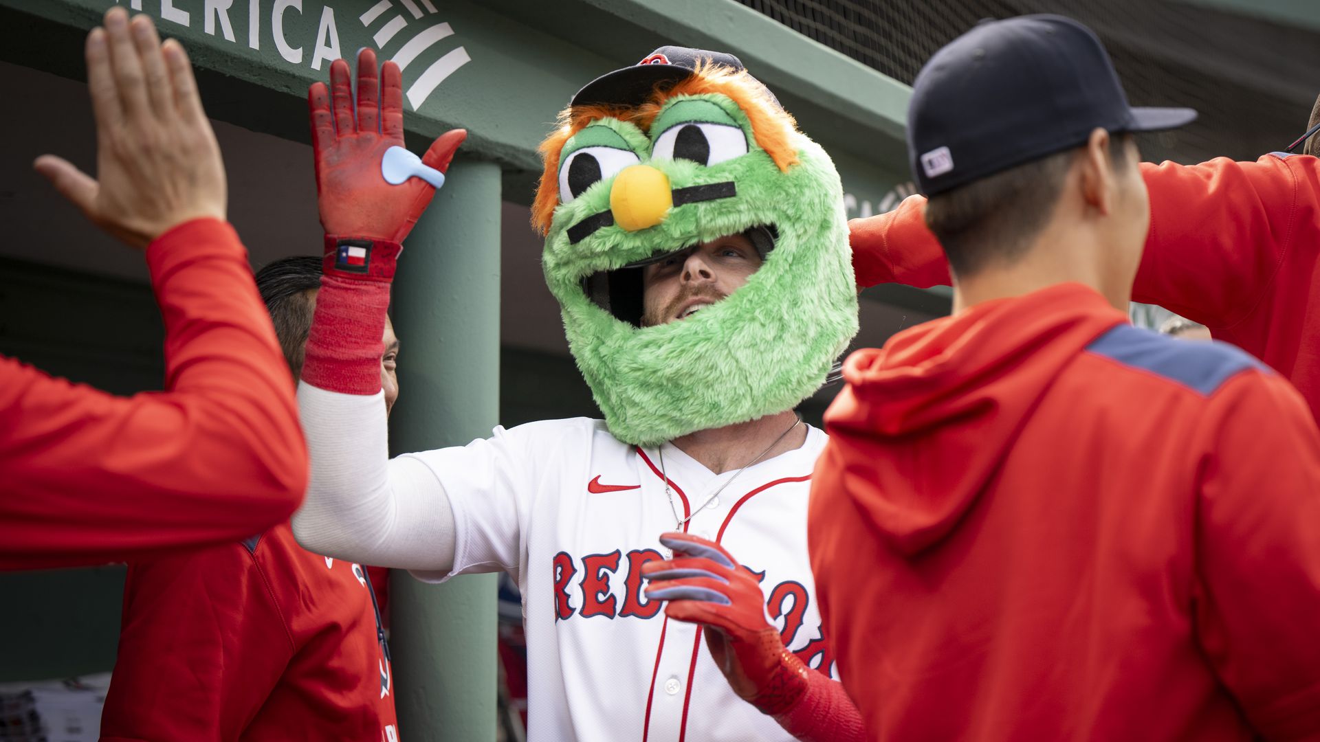 Game 9: Cardinals at Red Sox