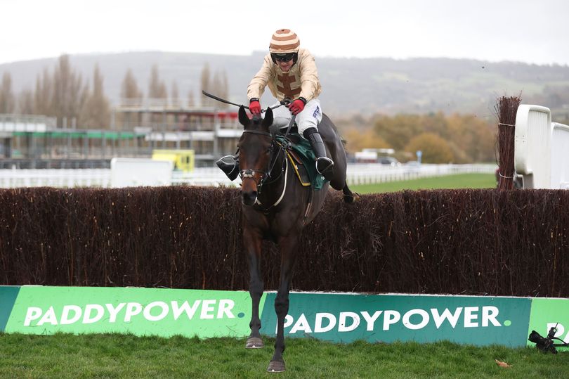 Broadway Boy condition update issued after horror Grand National fall