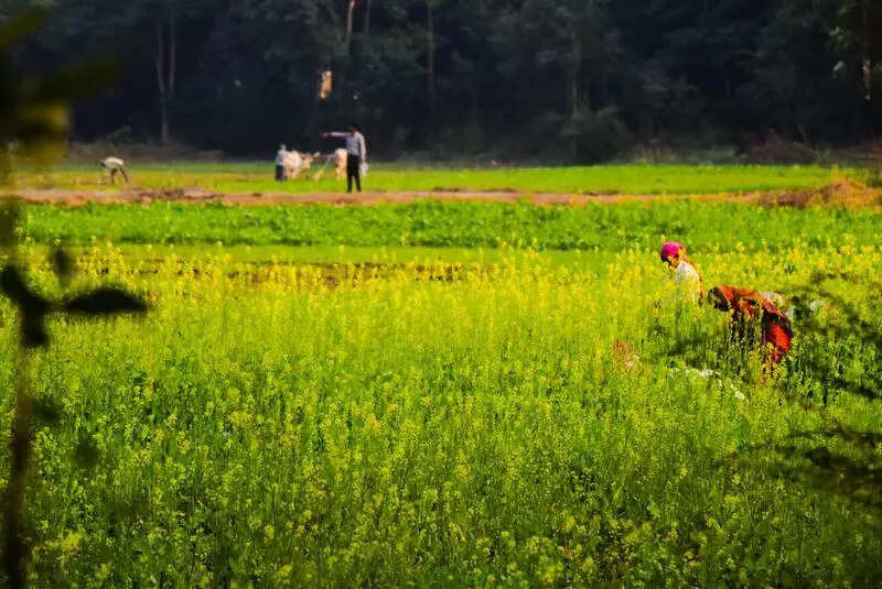 Farmers demand compensation amid delayed procurement