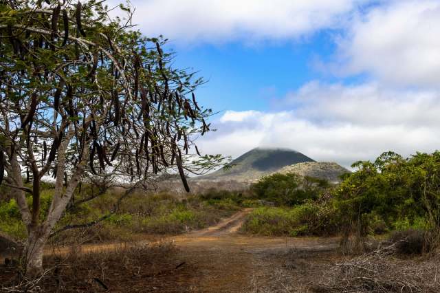 Experts celebrate rediscovery of species believed extinct for nearly ...