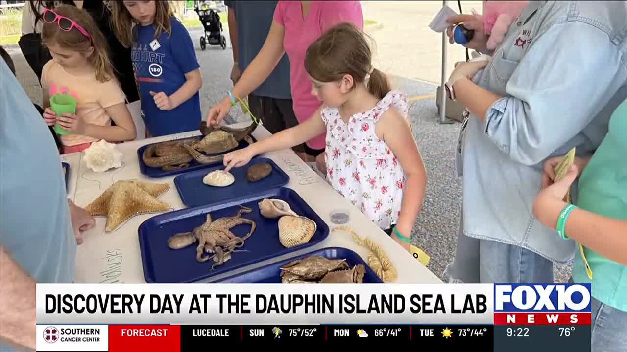 Dauphin Island Sea Lab hosts Discovery Day
