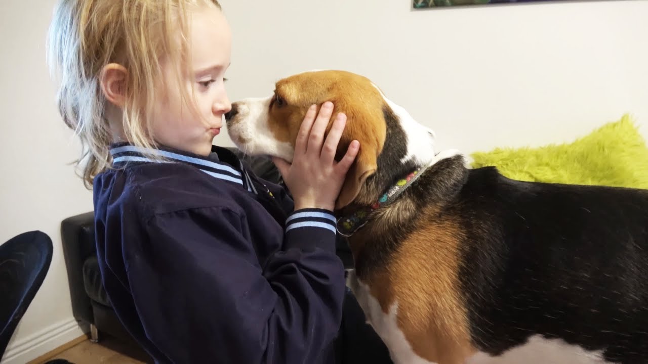 "Tiny Hands, Big Love—Baby Feeds Her Best Friend Dog"