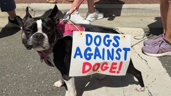 10 funniest signs from the ‘Hands Off’ protests against Elon Musk and ...