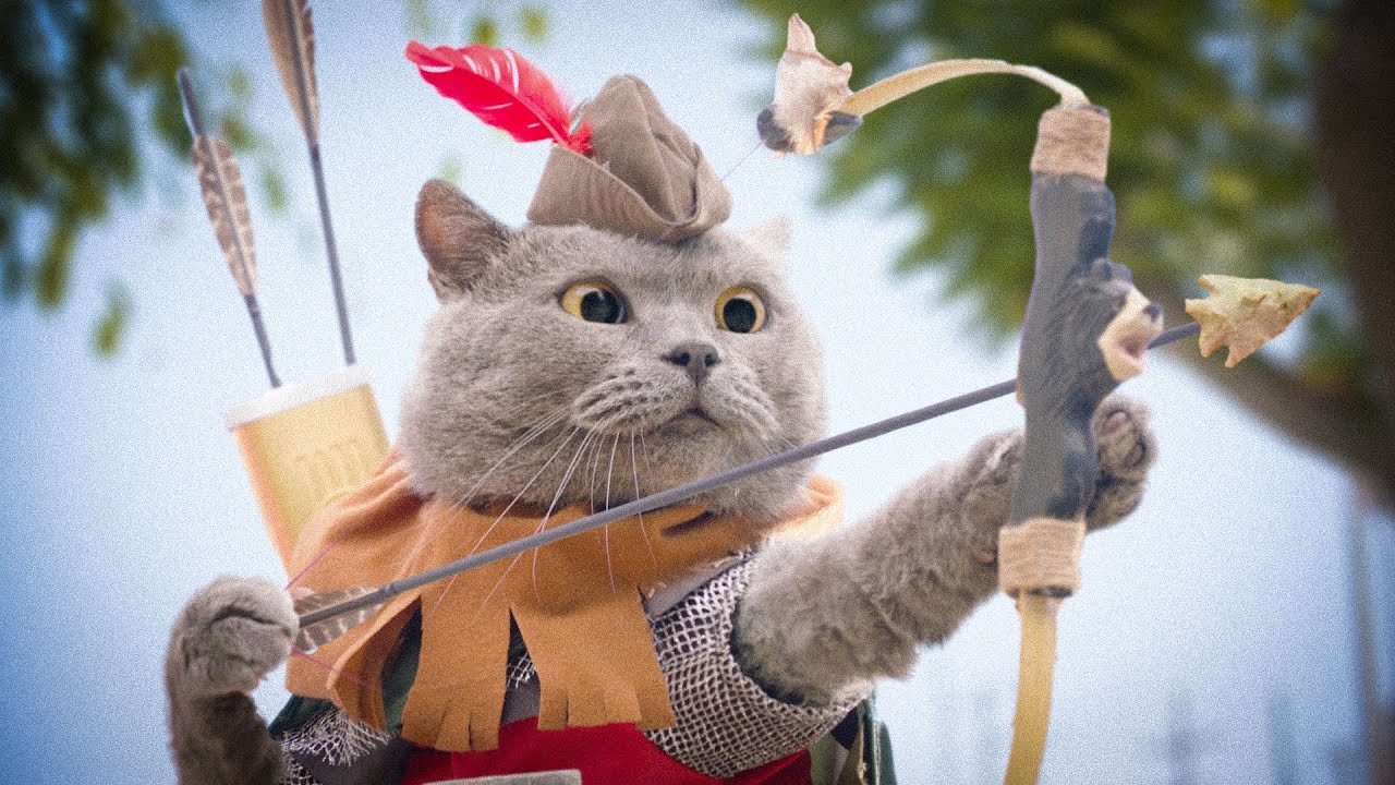 Michael the Cat's LARP Quest