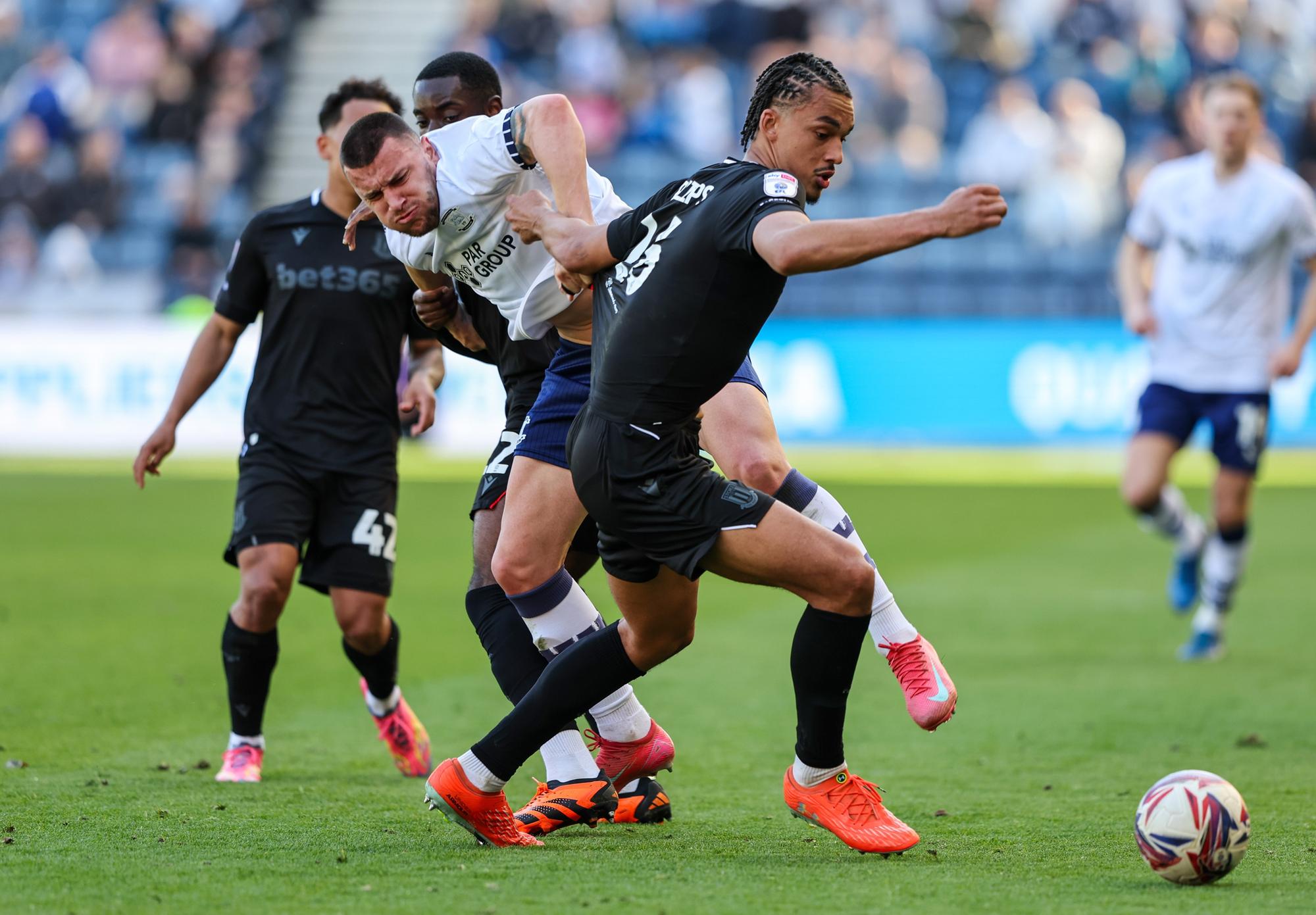 Tim Mercer's PNE Fans' Panel verdict: North End look like they are in ...
