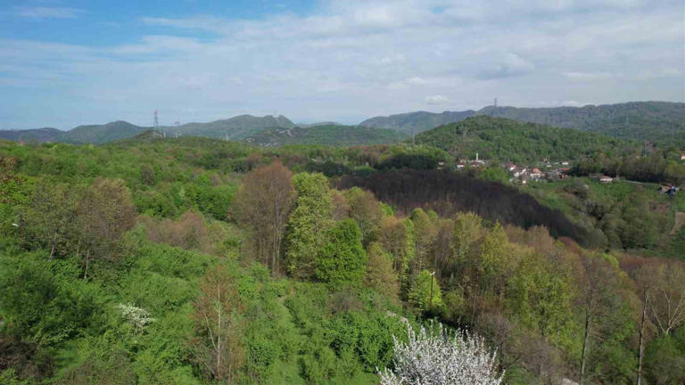 Buccaneers potential draft targets and best fits: Running back