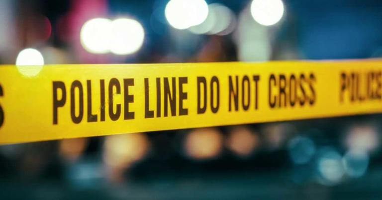 Knife detection turns deadly: Police shoot armed 54-year-old passenger ...