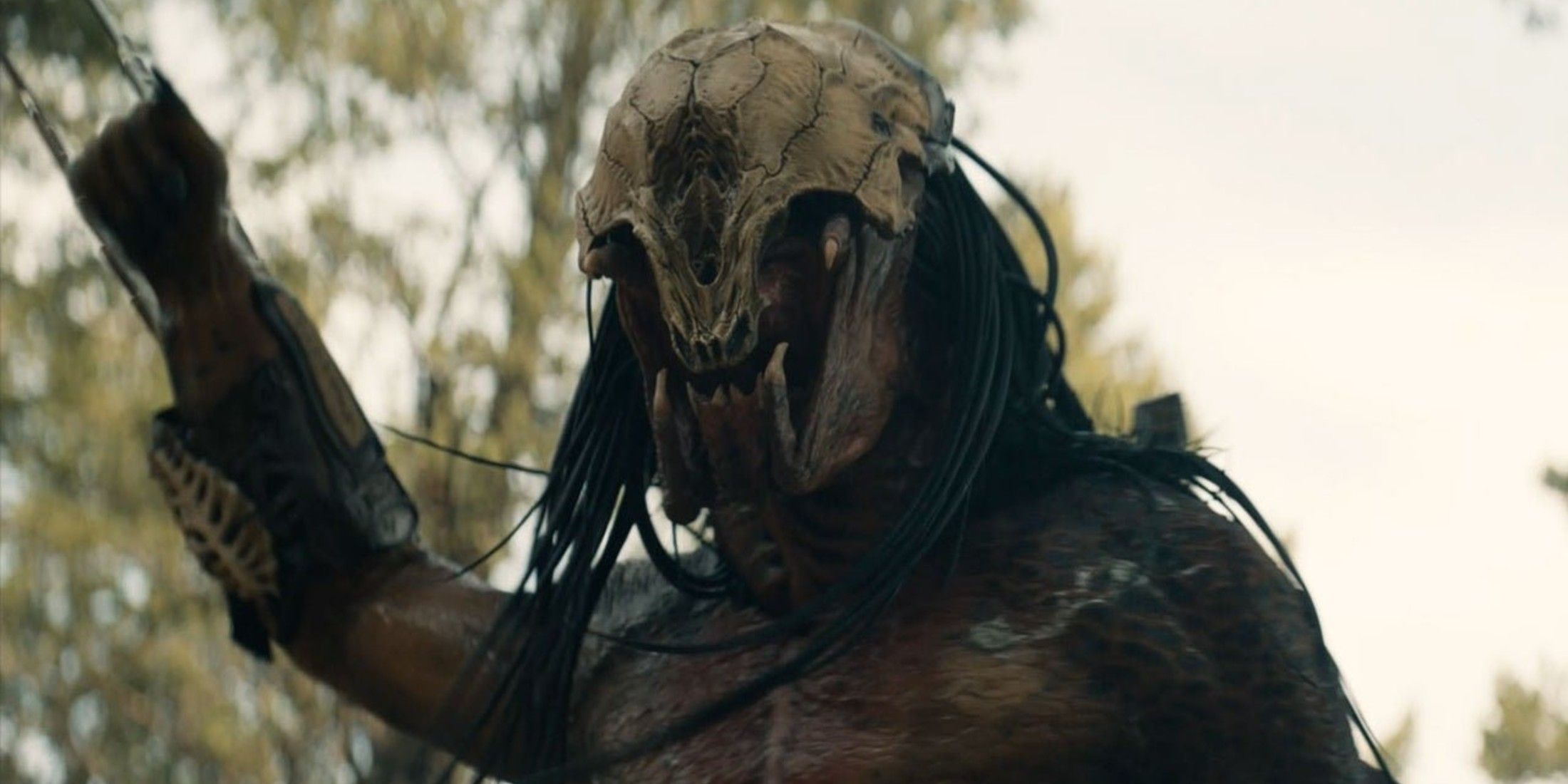 Predator: Badlands - How Does a Yautja Protagonist Change The Franchise?