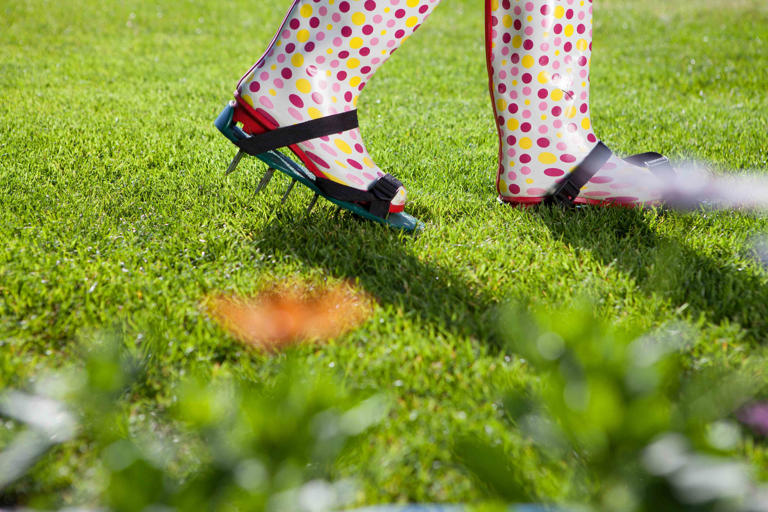 The lawn care step you shouldn’t skip for greener grass all year