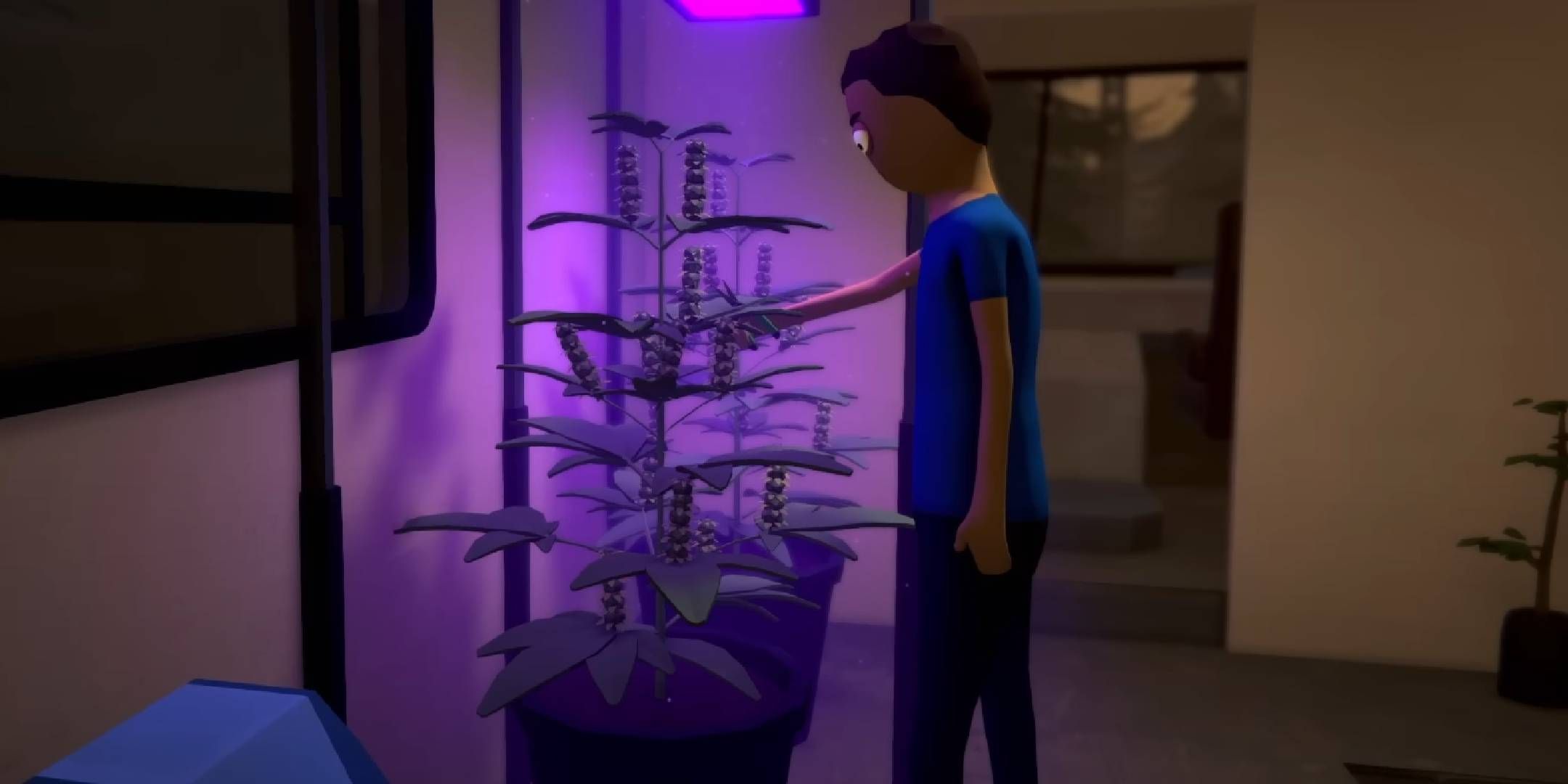 How To Get Coca Leaves In Schedule 1