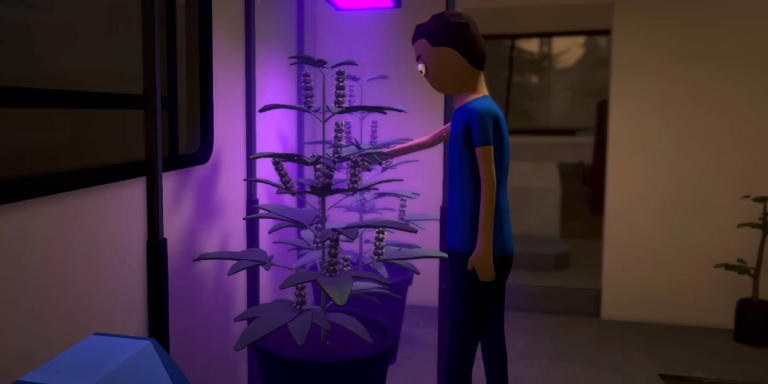 How To Get Coca Leaves In Schedule 1