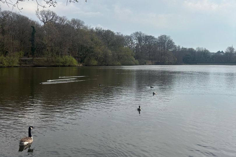 Hidden gem Welsh park with huge lake and secret trails sat on top of ...