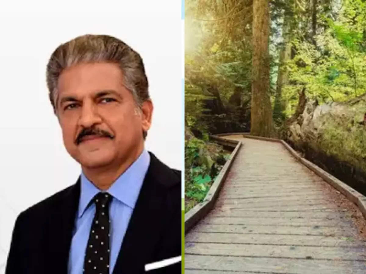 Anand Mahindra’s breathtakingly beautiful weekend go-to place costs ...