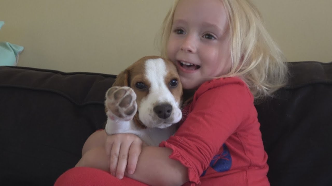 Life is better with a puppy and a child growing up together