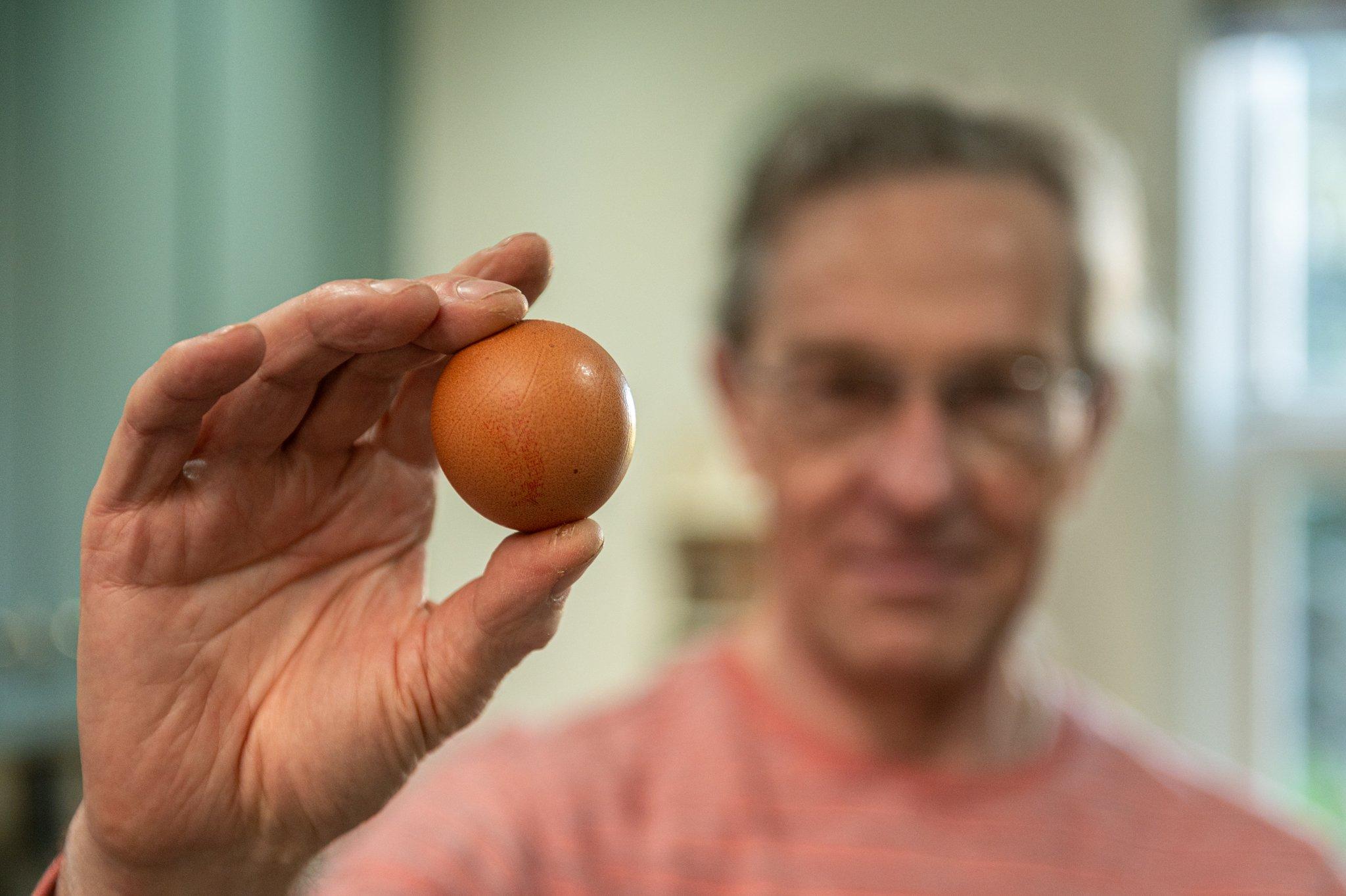 Shell-shocked Sheffield man finds 'one-in-a-billion' spherical egg in ...