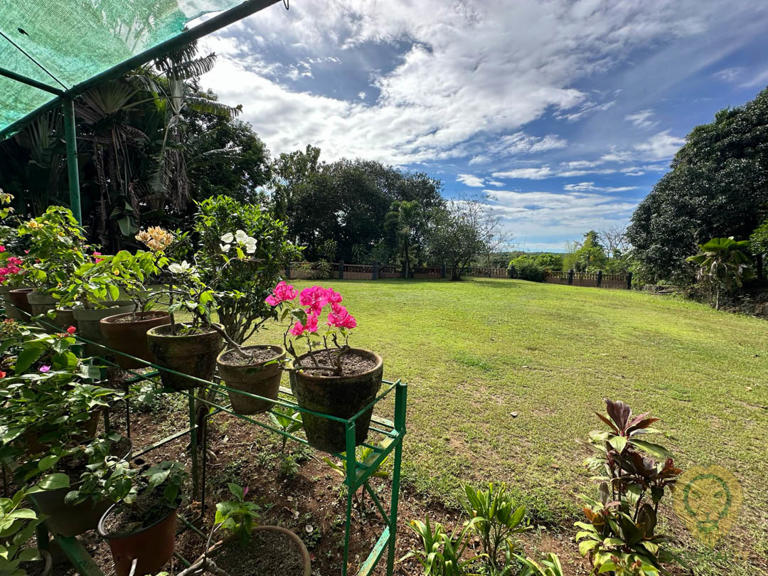 Camille’s Farm in Tanay offers a serene retreat just 90 minutes from ...