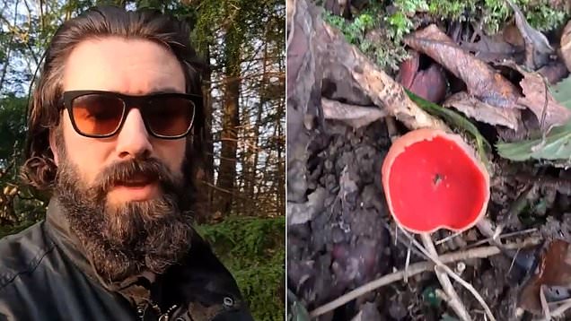 Foraging dad who saves £200 a month on food shares secrets