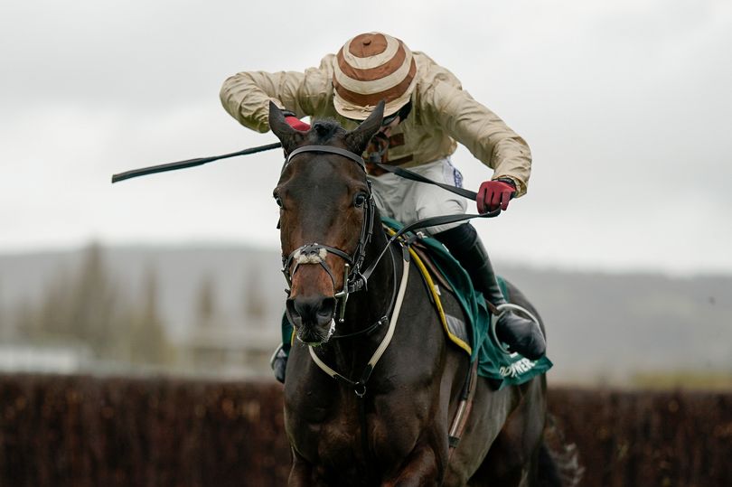 Broadway Boy jockey's injuries emerge after 'sickening' fall in Grand ...