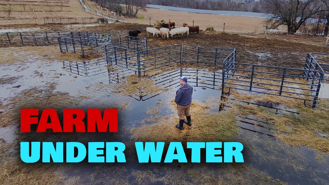 Surviving flood and mud season challenges on small farm