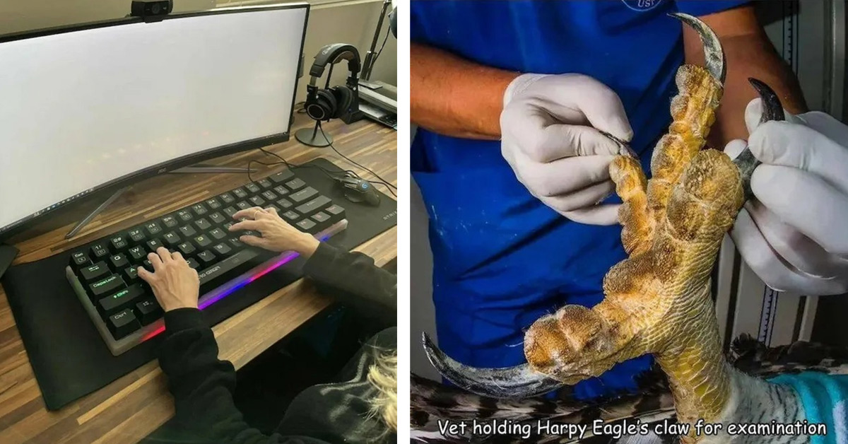 40 Extra-Large Versions of Seemingly Normal Things