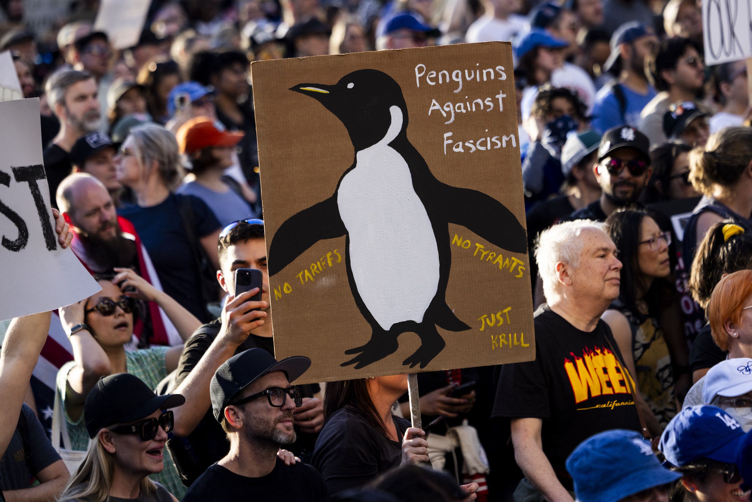 How 'Hands Off!' Protest Signs Mocked Donald Trump, Elon Musk Penguins ...