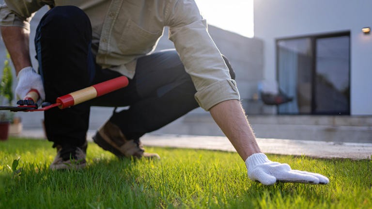 Is Lawn Care Service Worth The Money In The Long Run?