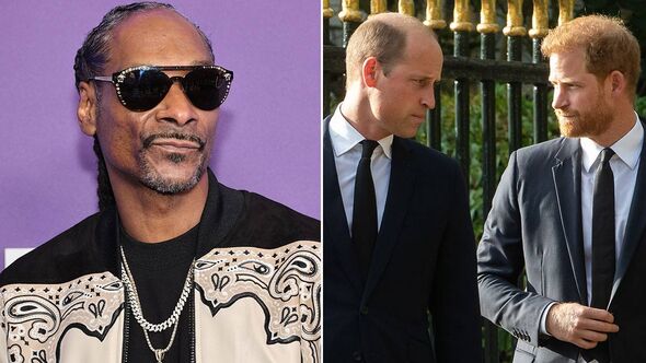 Prince Harry and William's royal rift could be fixed by one unlikely US ...