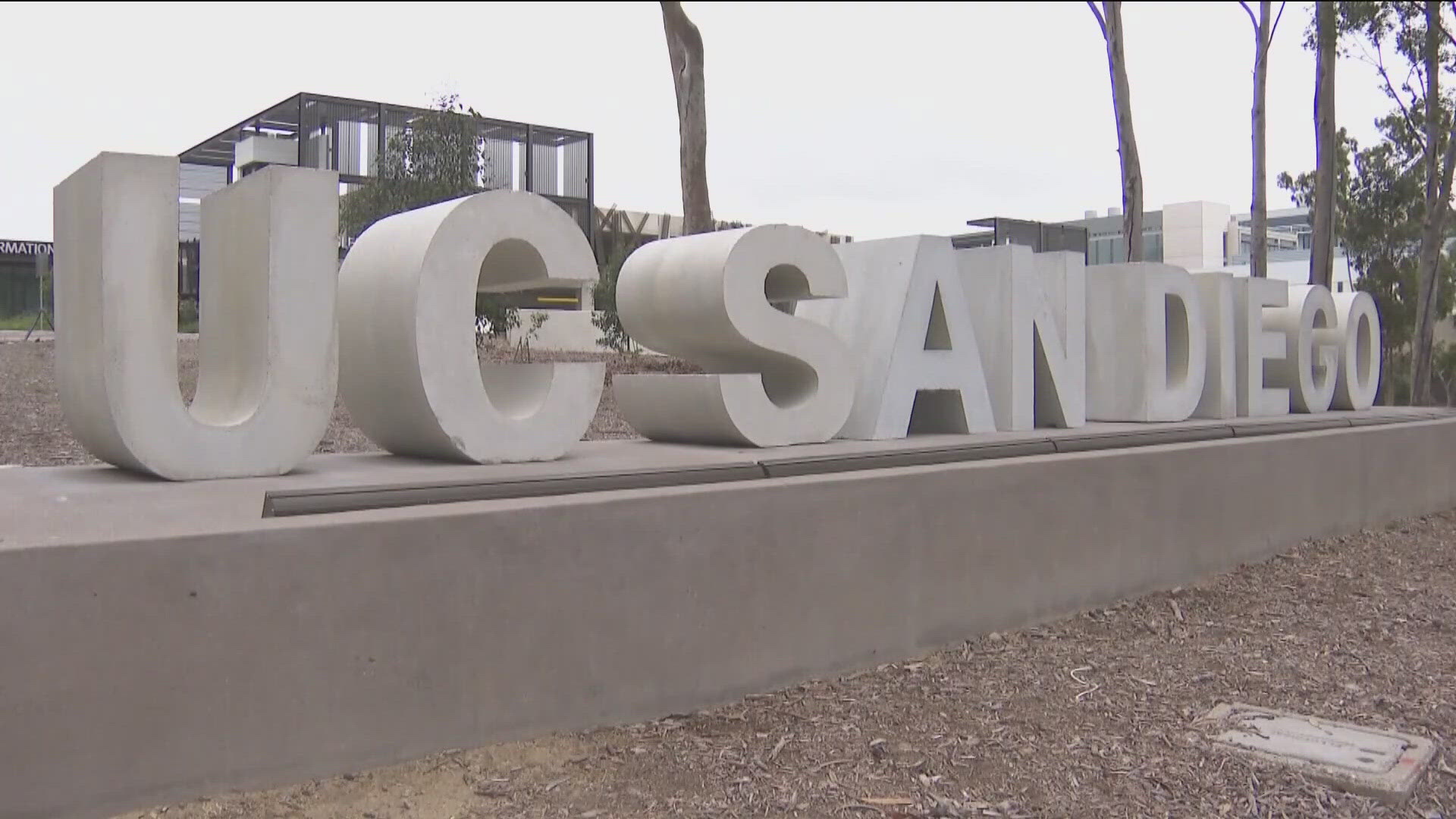 Five UCSD students' visas revoked, additional person deported ...