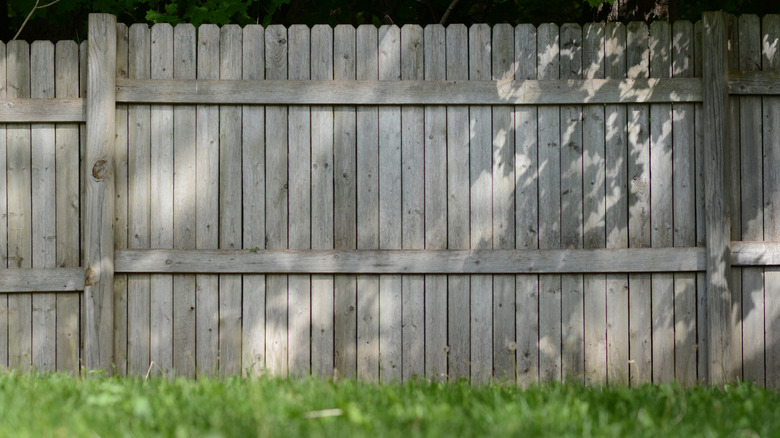 Rotting Fence Post Stuck In The Ground? Tips On How To Get It Out