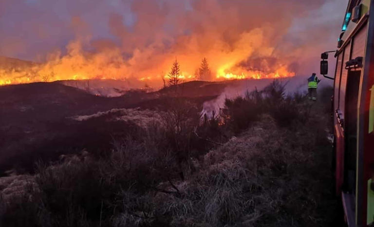 Wildfire Forces Evacuations as It Spreads Through Galloway Forest