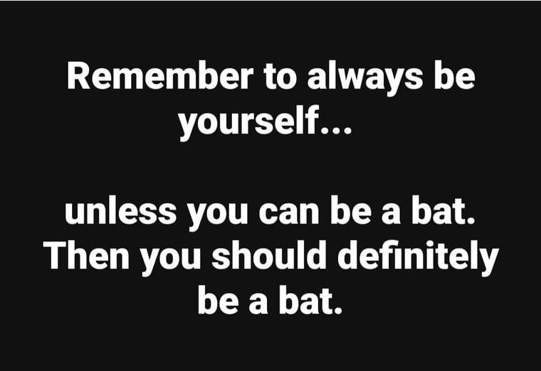 30 Funny Bat Memes And Photos Celebrating The Most Adorably Terrifying ...