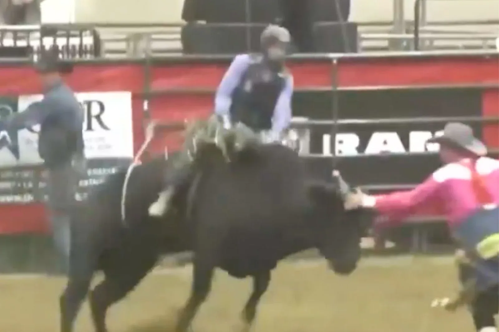 24-Year-Old Bull Rider Dylan Grant Dead After Rodeo Accident