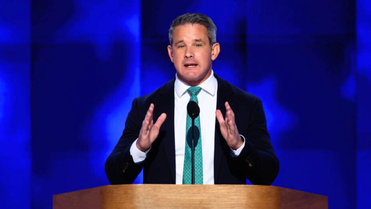 Adam Kinzinger anticipates the ‘massive fall of MAGA’ as ‘the beginning ...