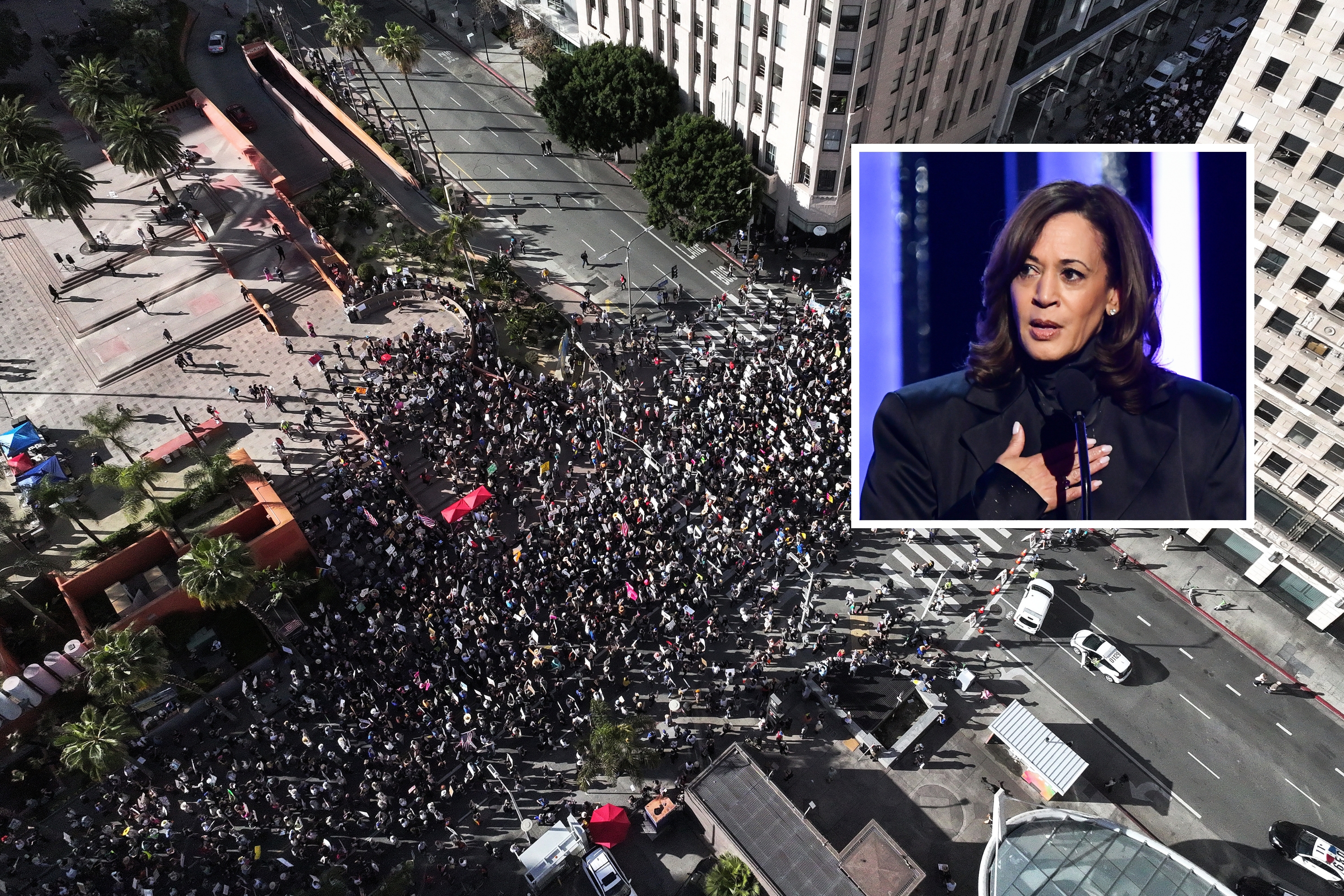 Kamala Harris Reacts to 'Hands Off!' Protests Against Trump's Admin